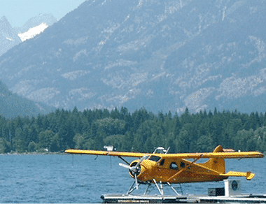 Our Resort - Campbell's Resort